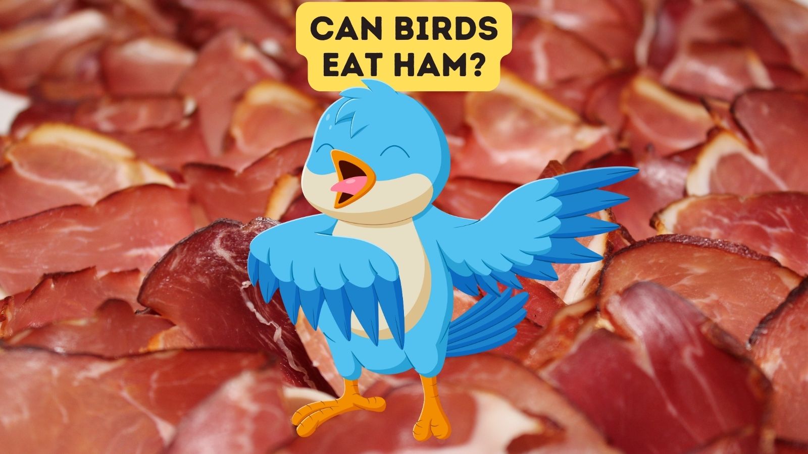 Can Birds Eat Ham