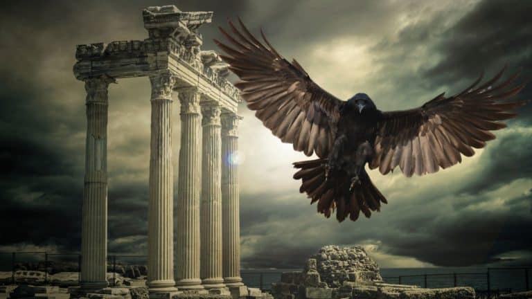 Raven Symbolism - The Meaning of This Bird Across the Globe